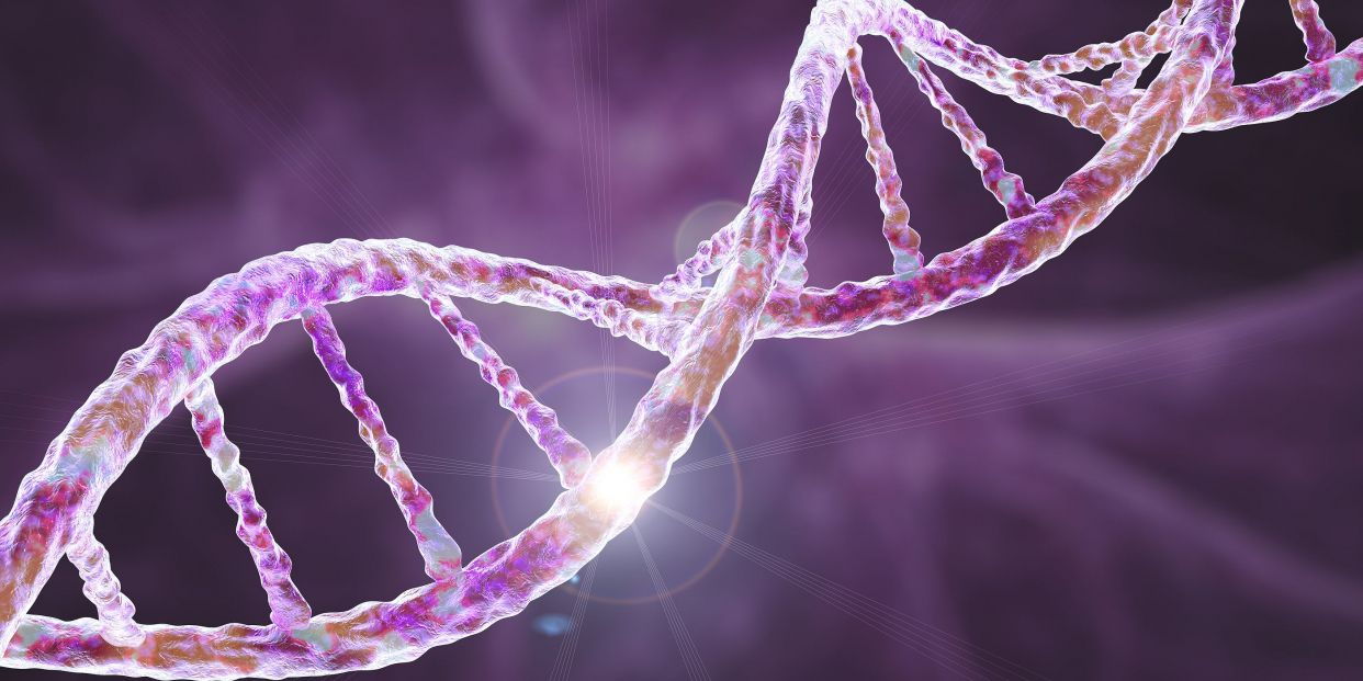 Las mutaciones en el reino animal, claves envejecimiento