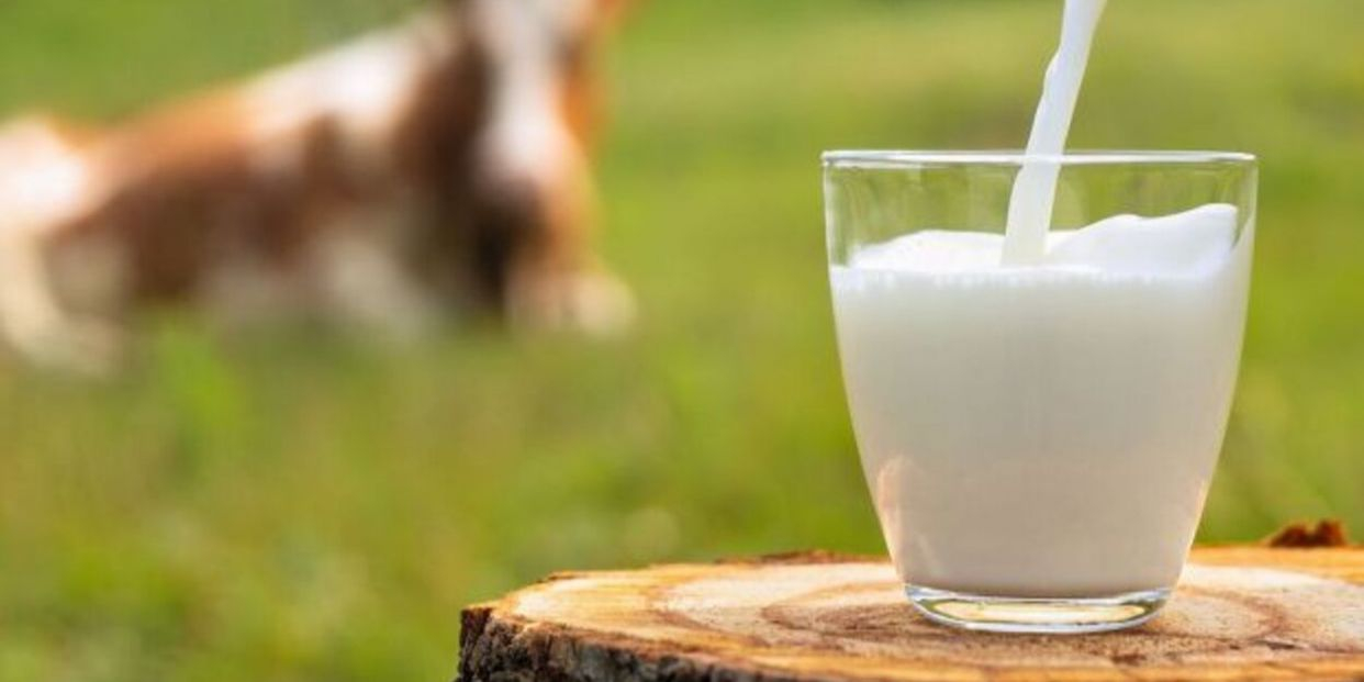 Esta es la mejor leche del supermercado, según la OCU