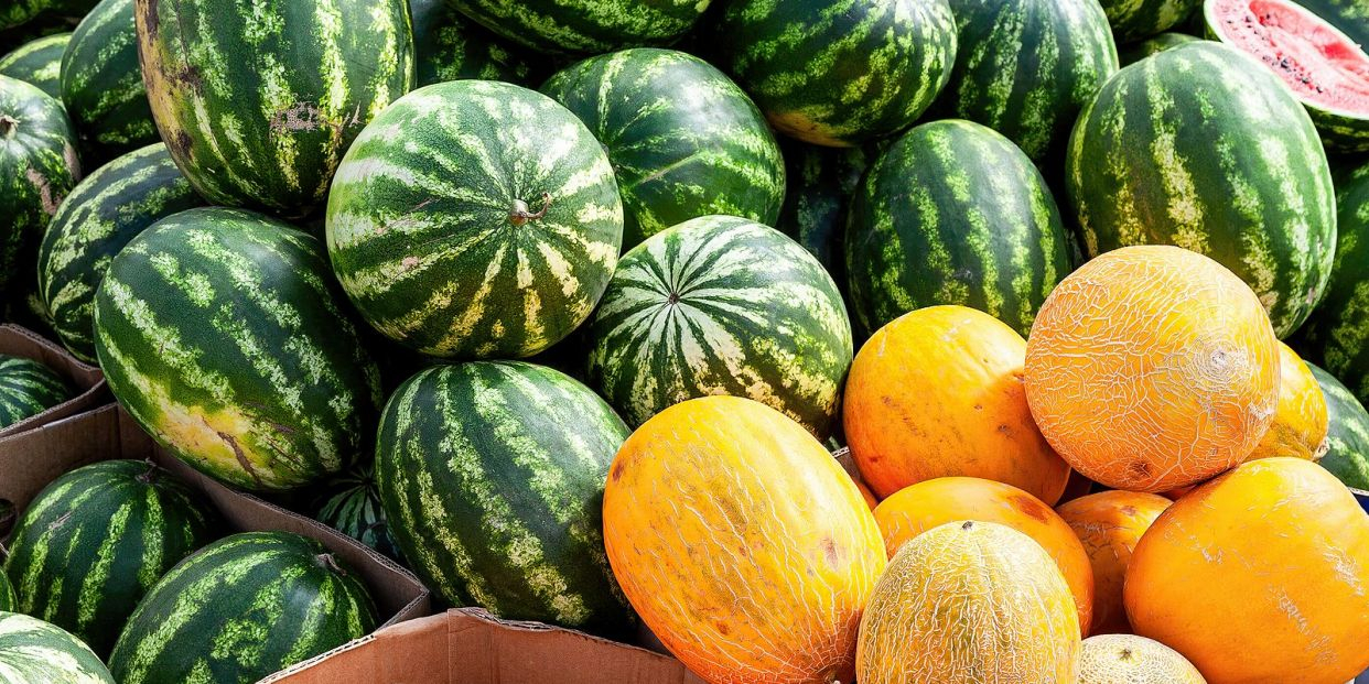 Melón y sandía se venden a precio de oro este verano