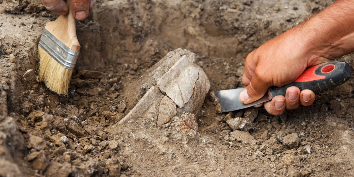 Encuentran el fósil de un animal que vivió millones de años