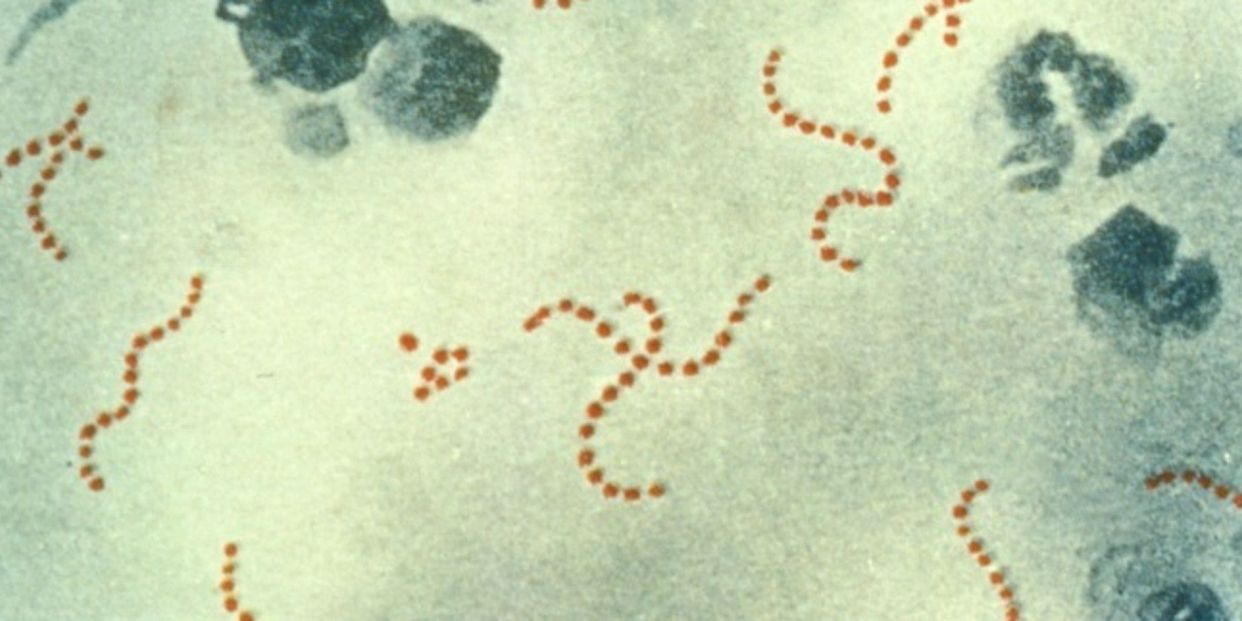 ¿Qué es el estreptococo A? Síntomas y cómo se contagia