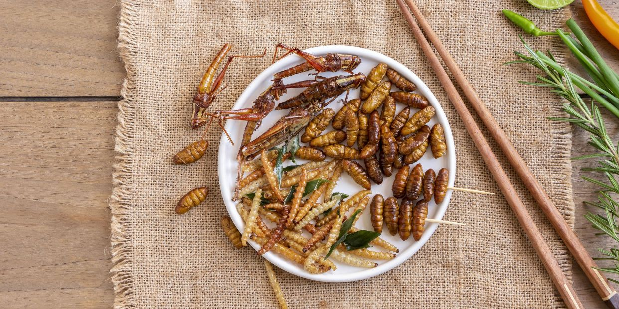 ¿Comerías insectos y carne artificial?