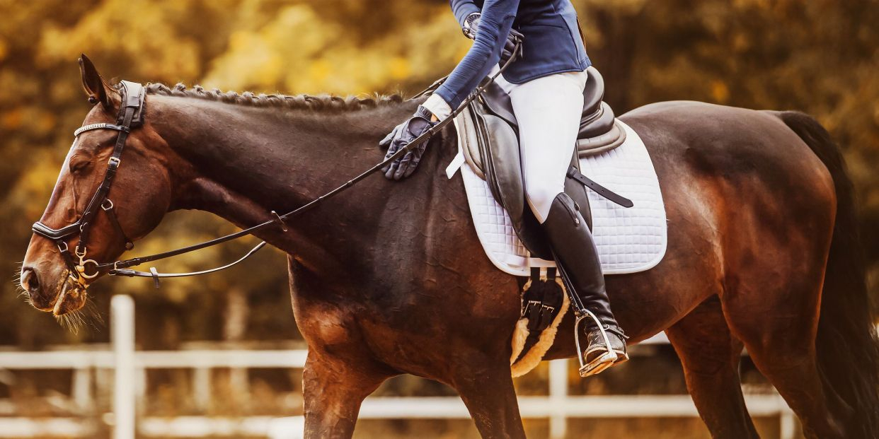 Hallan los indicios de los primeros jinetes del mundo