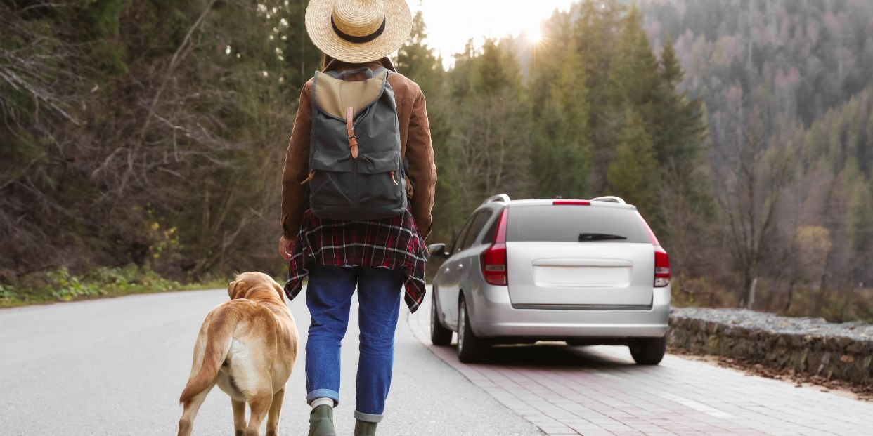 Consejos básicos si vas a viajar con tu perro o gato
