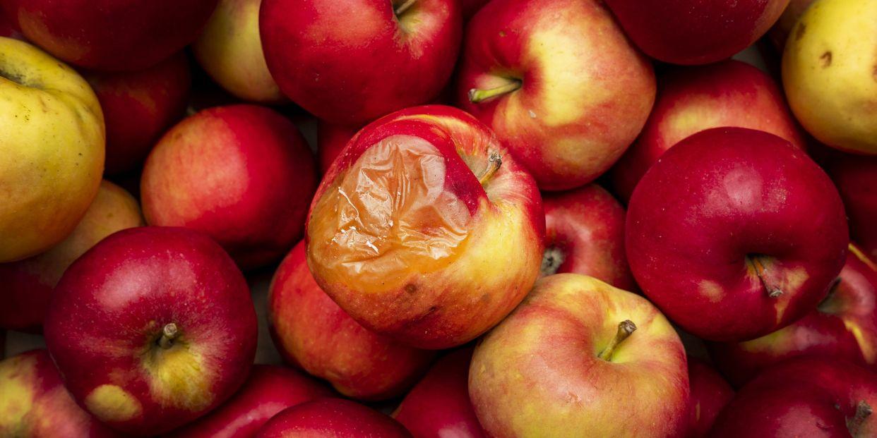 ¿Una manzana podrida puede estropear el resto de fruta?