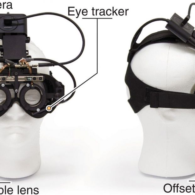 Crean unas gafas inteligentes que enfocan solas