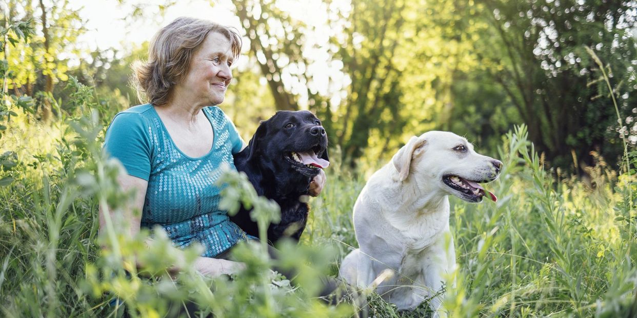 5 razones para cuidar de un perro