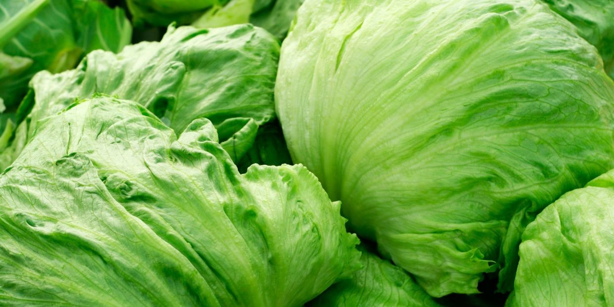 El truco para que la lechuga se mantenga fresca más tiempo