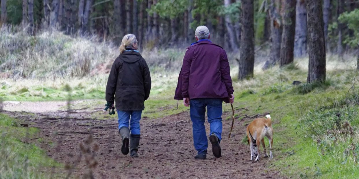 ¿Cuánto tiempo debes caminar al día? ¿Cuánto tiempo debes caminar al día?