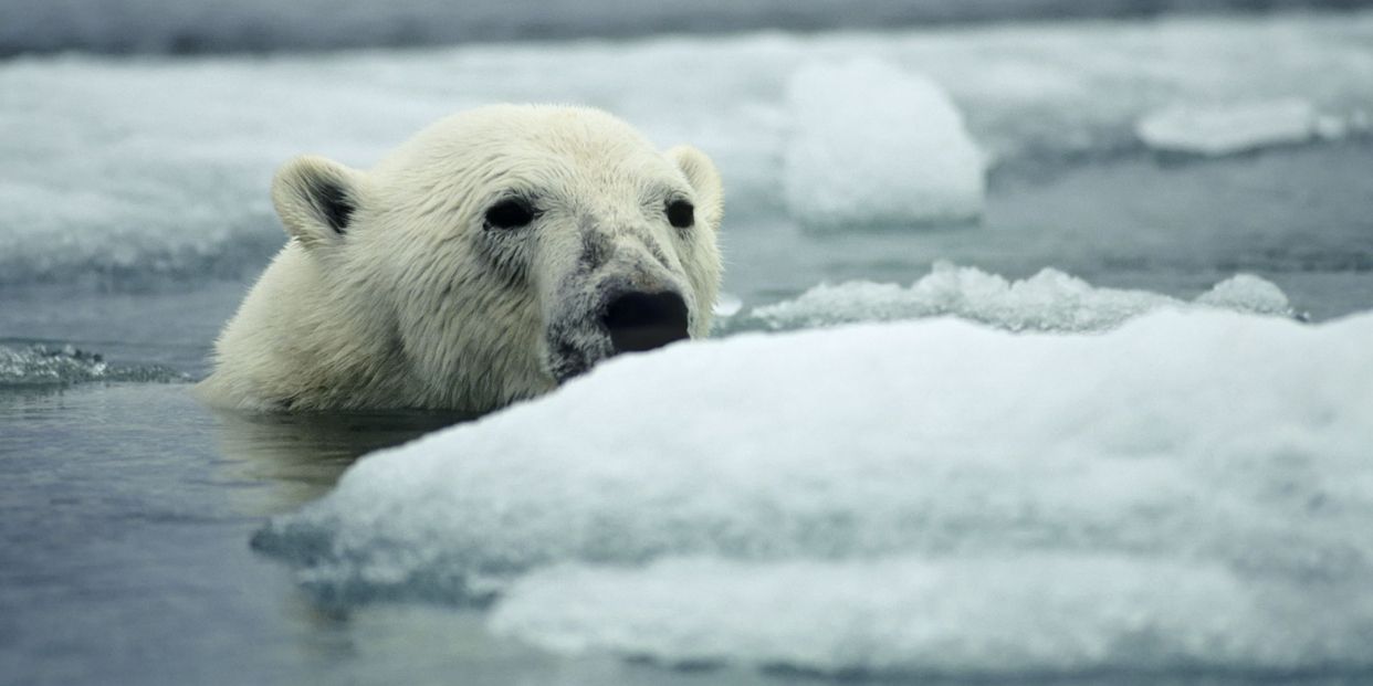 El suelo congelado se está hundiendo en el Ártico