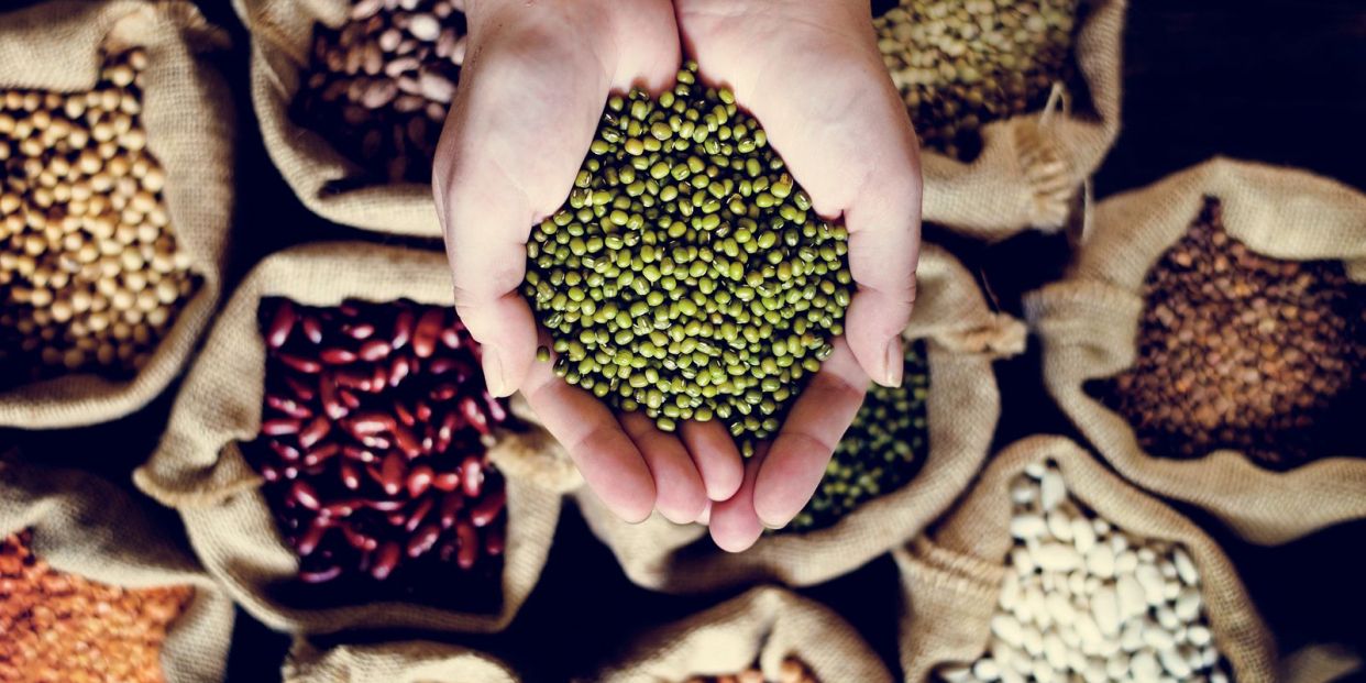 ¿Cuáles son las legumbres más saludables?
