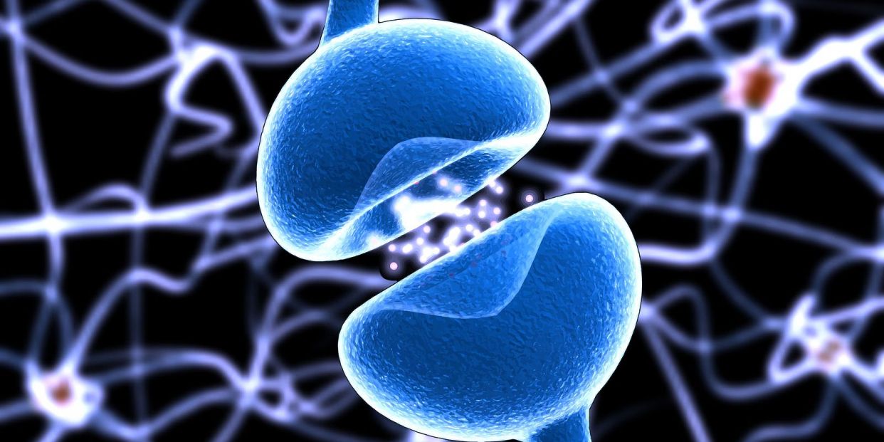 Qué son las enfermedades mitocondriales y qué tipos existen