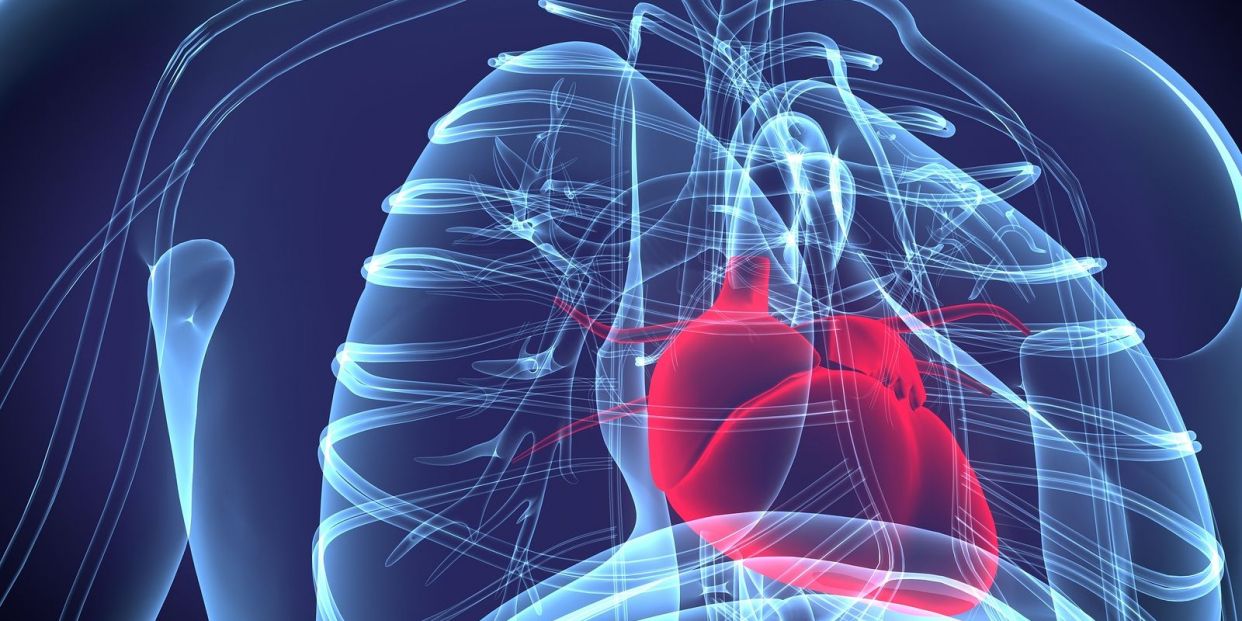 El coronavirus y los daños en el corazón
