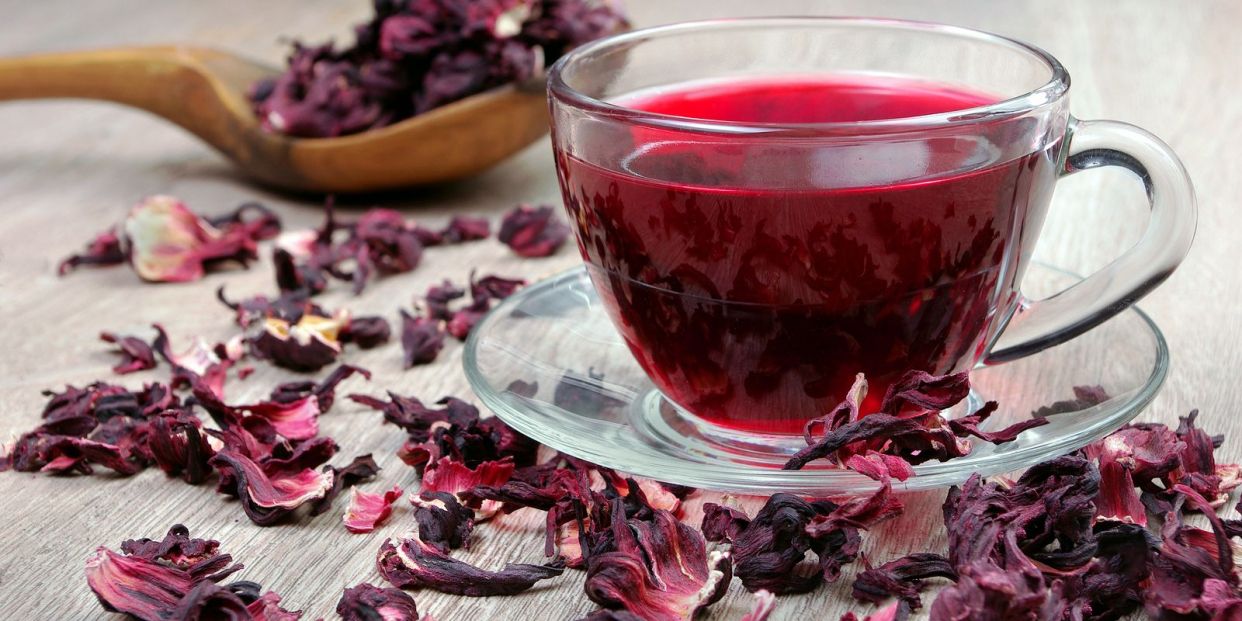 Infusión de hibisco, un arma potente contra las infecciones