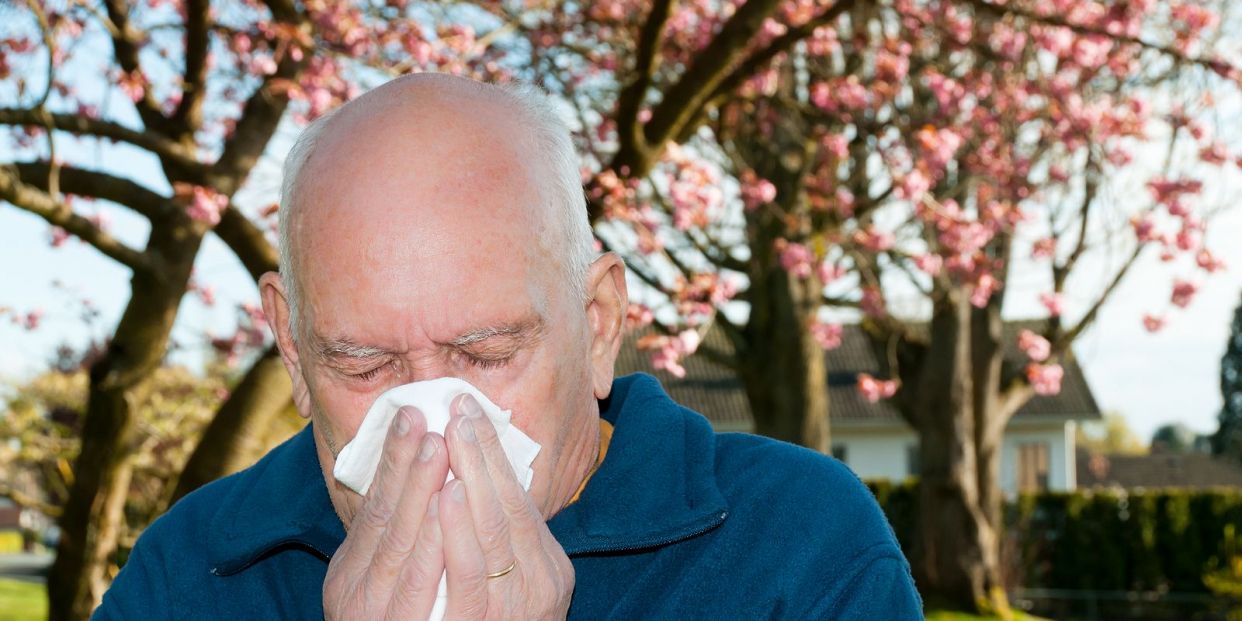 The Pollen Paradox: Climate Change Fuels Allergy Season - memesita.com ...
