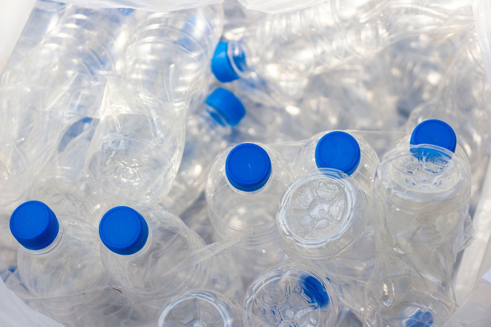 Estas Son Algunas Ideas Para Reutilizar Botellas De Plástico