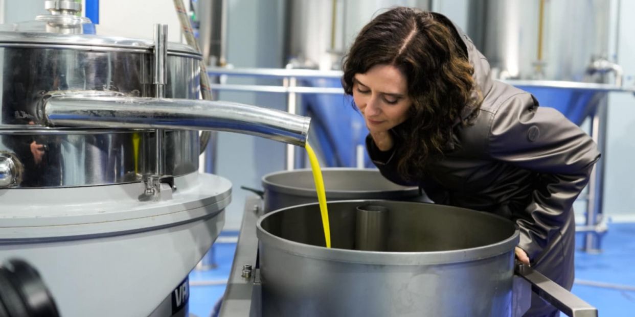 De ruta por las almazaras de Madrid: aceite de oliva