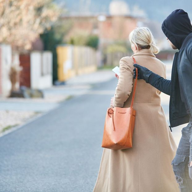 Quiero saber cómo poner una denuncia por el robo del bolso