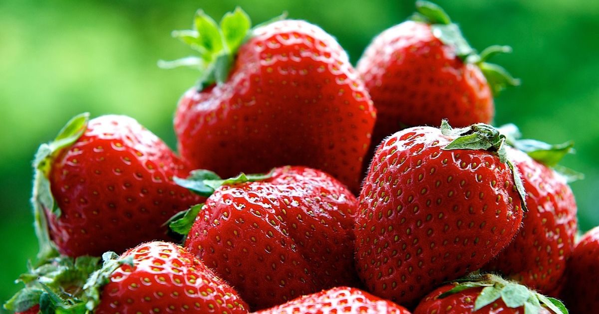 IA para mejorar el sabor y aroma de las fresas