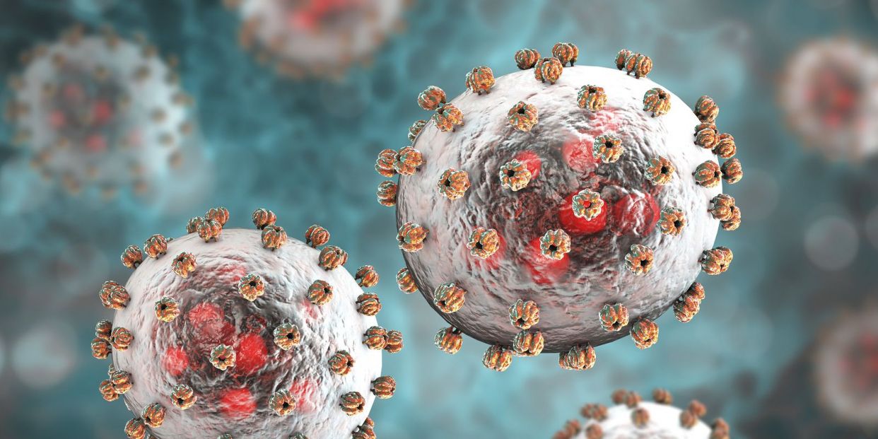 Quiero saber qué es el arenavirus