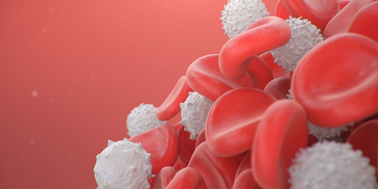 Cómo subir los glóbulos blancos