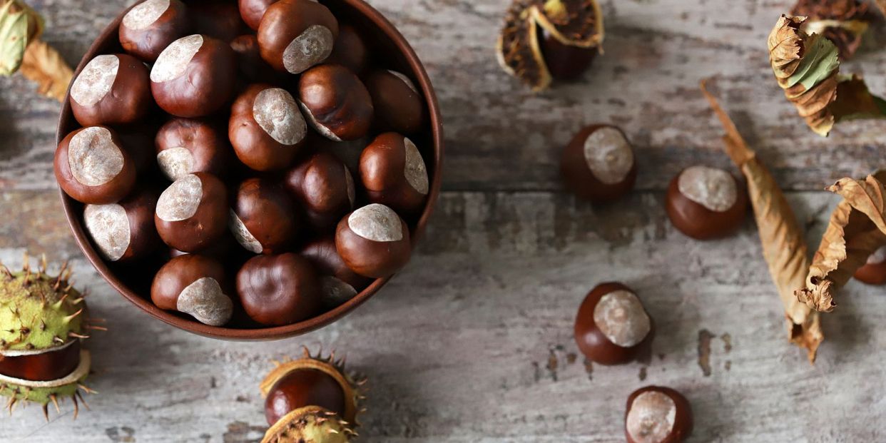 Es tiempo de castañas, disfrútalas con estas cinco recetas
