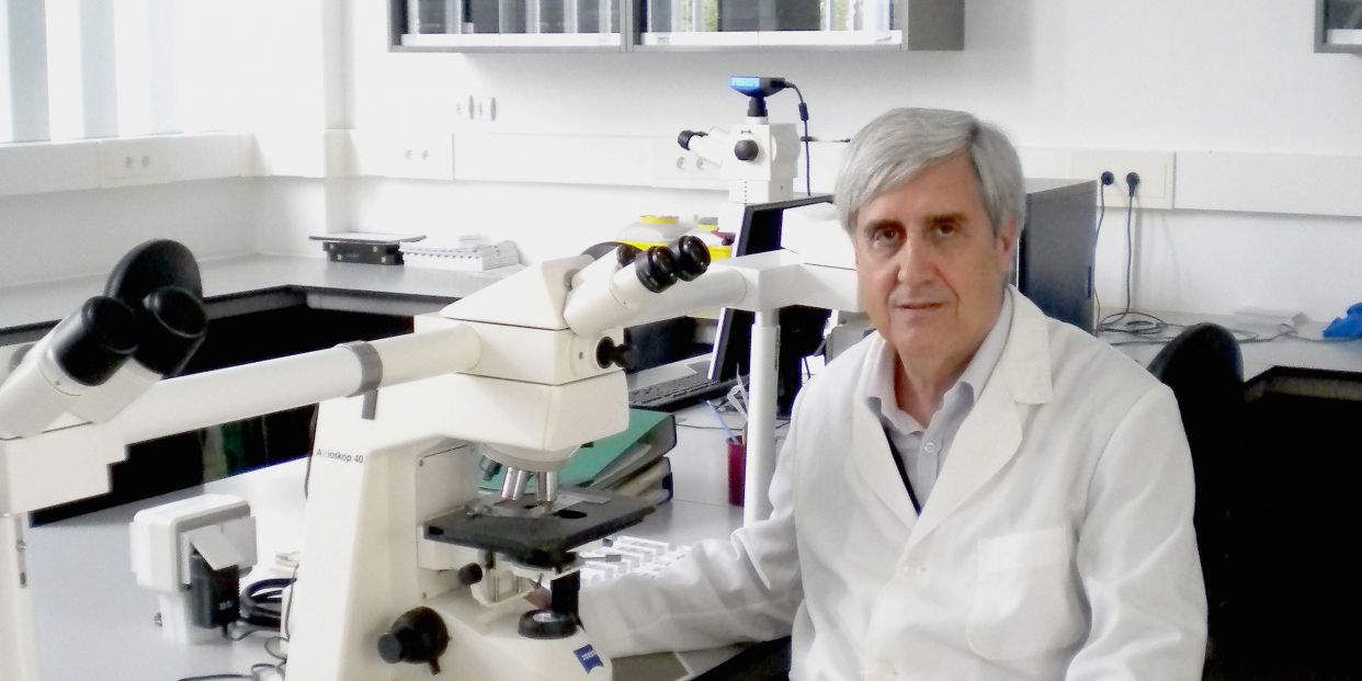 Badiola, sobre quitar oglicación mascarilla