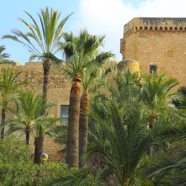 Elche, un destino con más de 2.000 años de historia