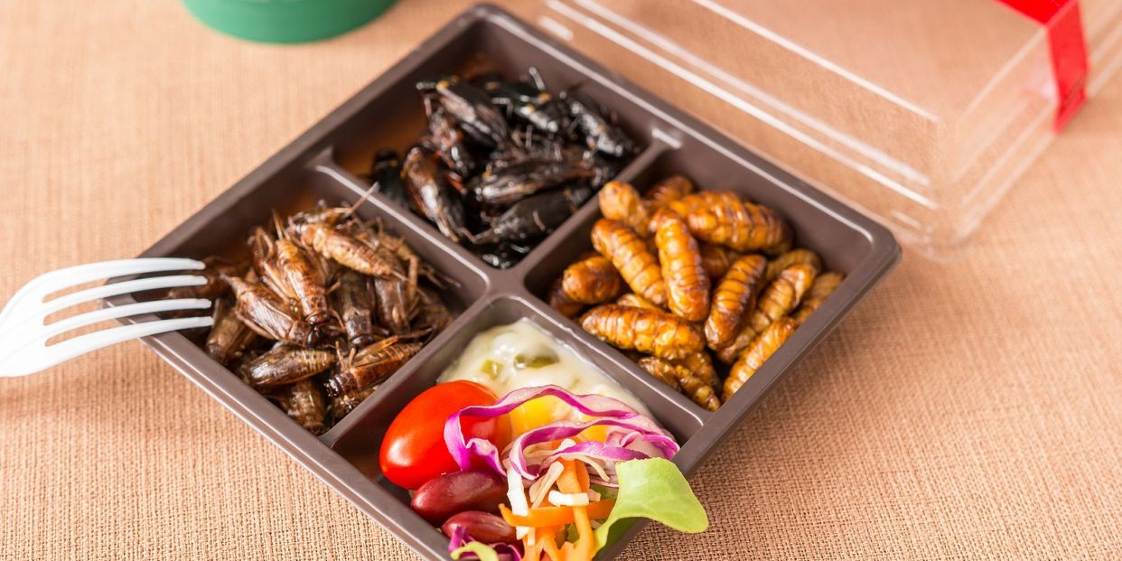 Motivos sorprendentes para comer insectos