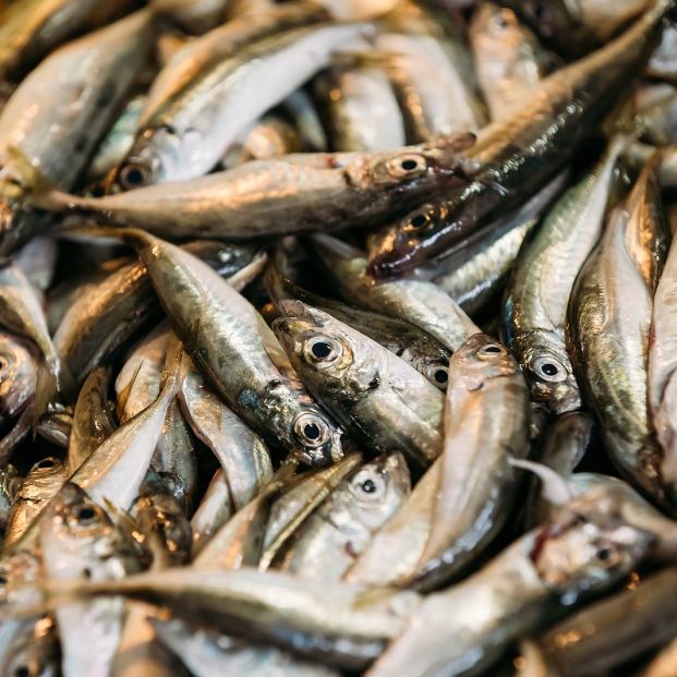 Disfruta de las anchoas con estas recetas