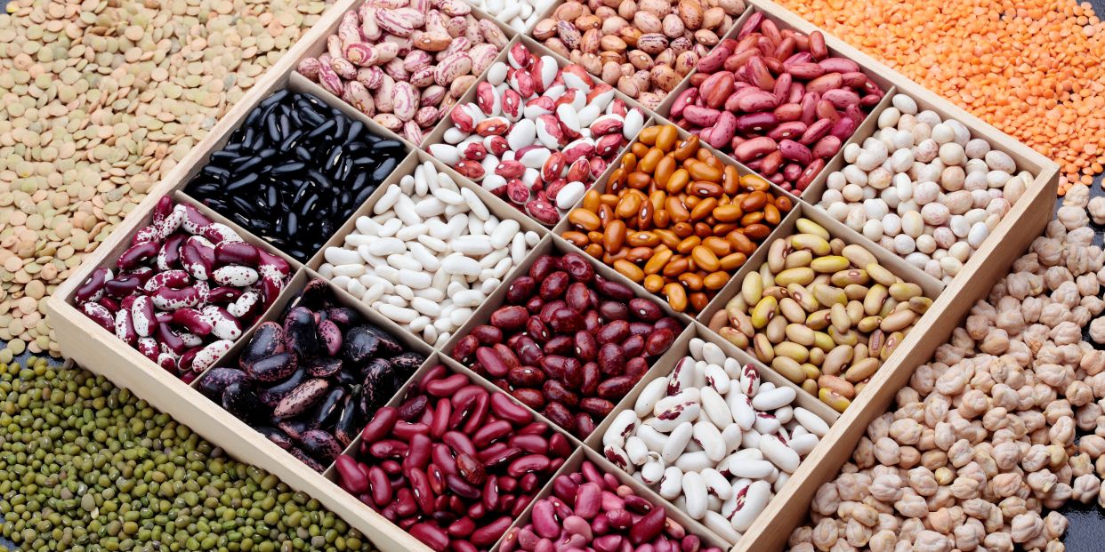 Tipos de alubias. ¿Cuáles son sus beneficios nutricionales?